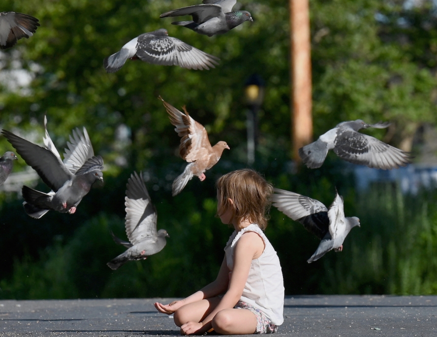 The women photographers series: Angela Weiss | Correspondent