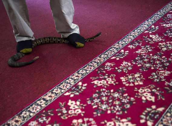 Of snakes and faith | Correspondent