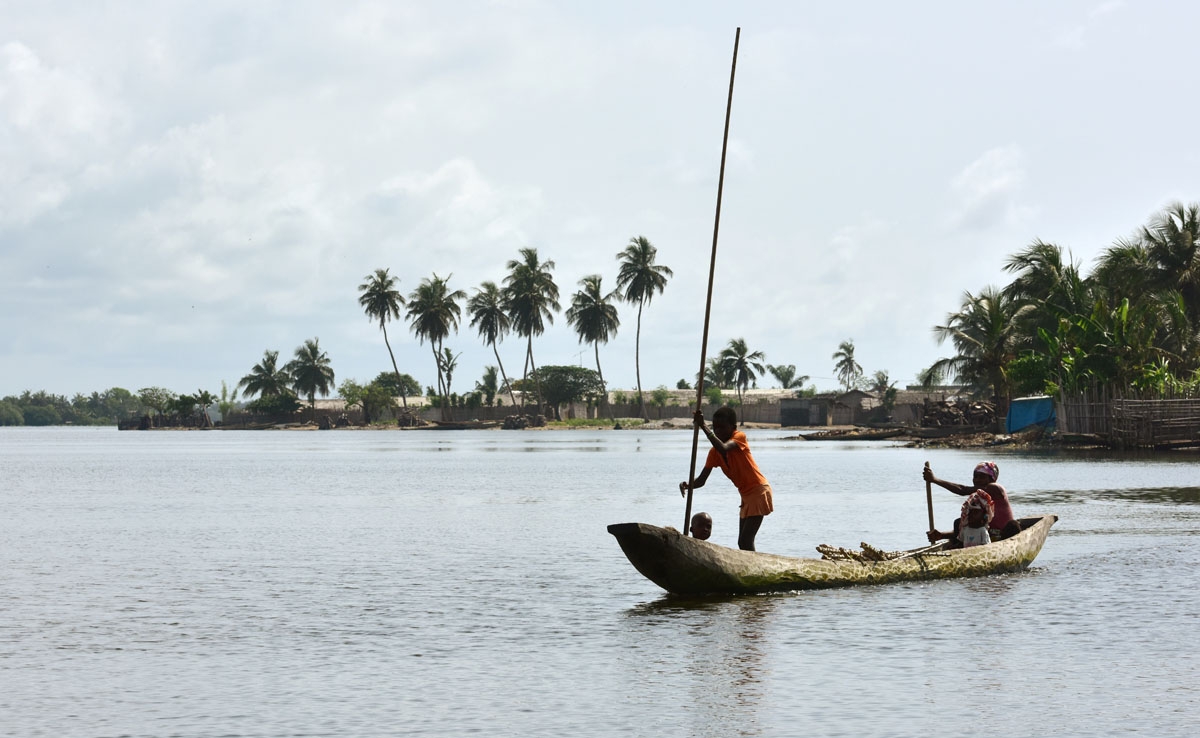 The last chimp standing | Correspondent