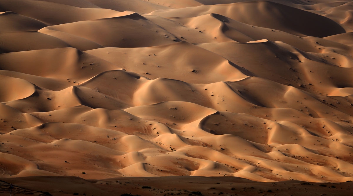 Desert magic | Correspondent